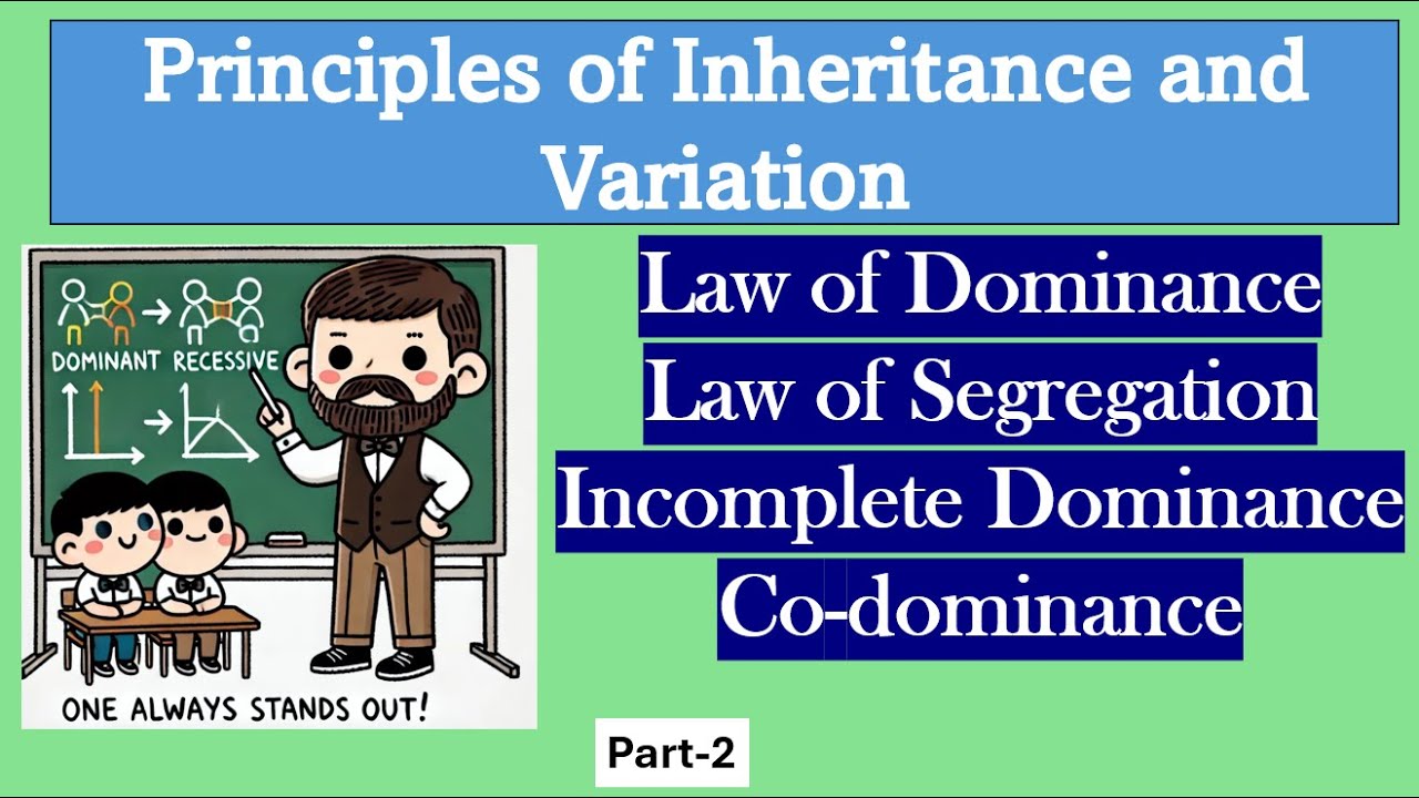Principles of Inheritance and Variation: Part 2 - Class 12 CBSE Biology ...