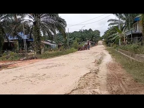 Suasana siang di daerah transmigrasi Rantau Pulung Kutai timur Kaltim ...