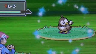 Shiny Starly Sprite