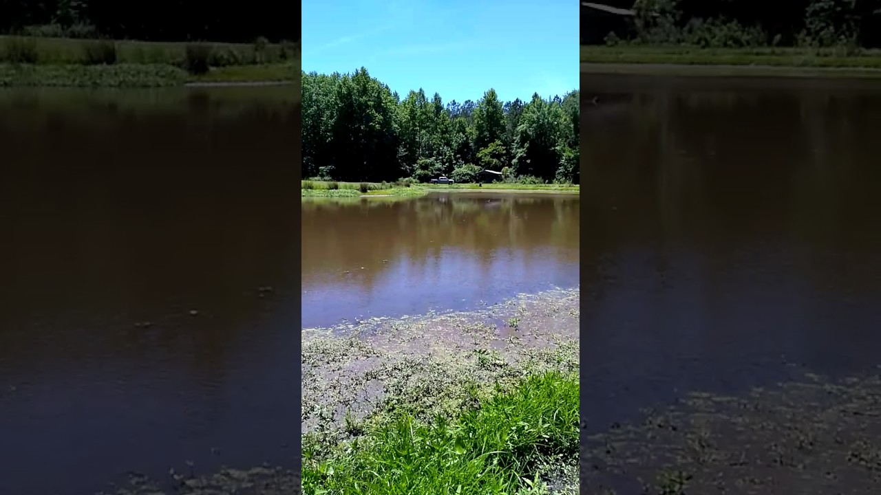 Flash Board Riser - YouTube