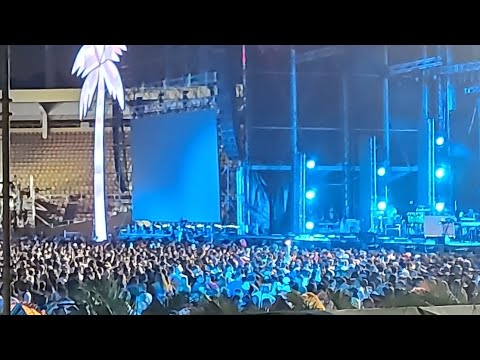 concierto juan luis guerra entre mar y palmeras 🌴 #felixsanchez #envivo #olímpicos