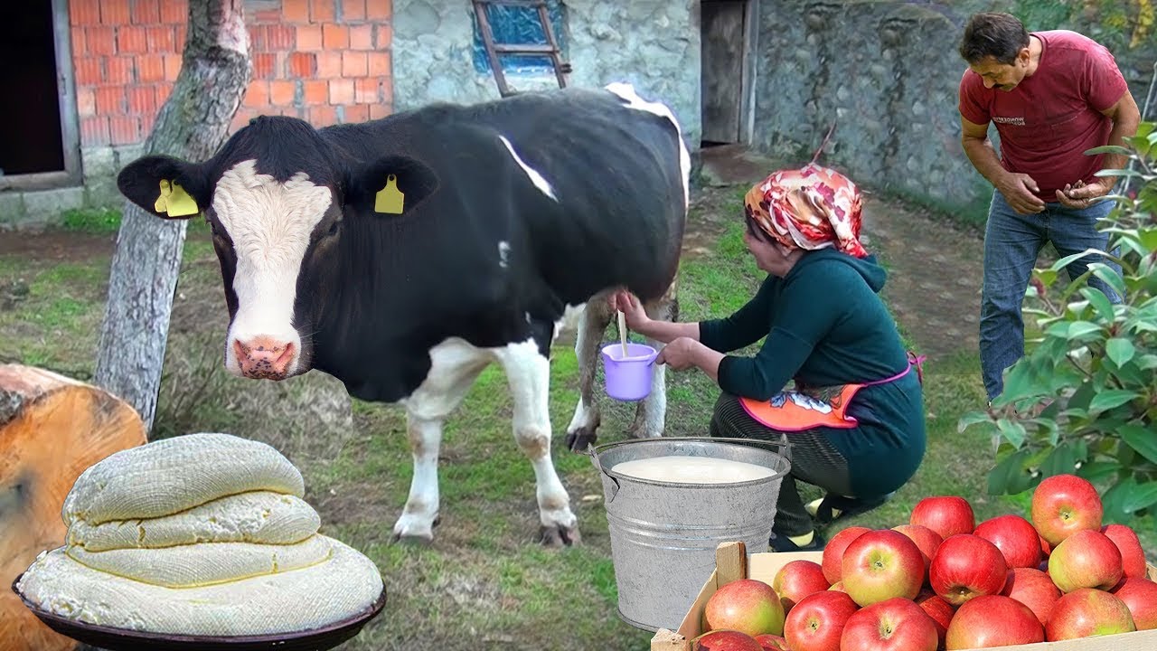 CHEESE MAKING at Home | Make Your Own Homemade Cheese | Spend 2 Hours ...