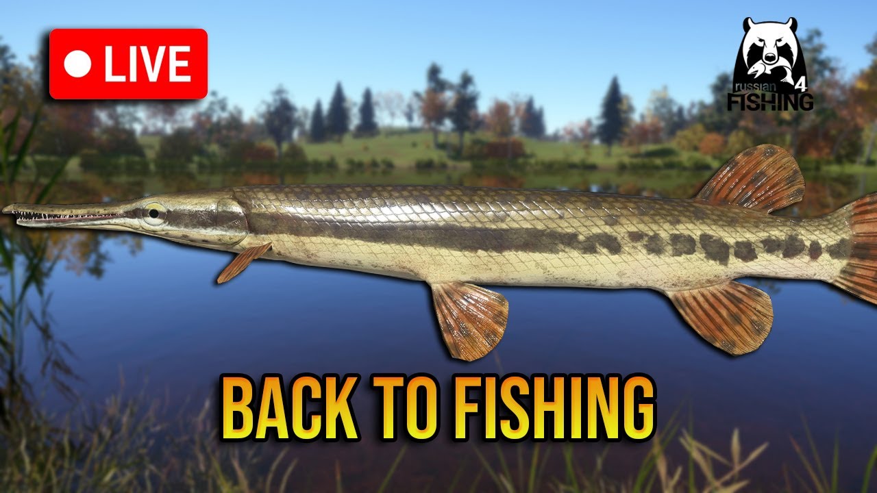 Back from Travel, We Go Fish 🎣RF4 - YouTube