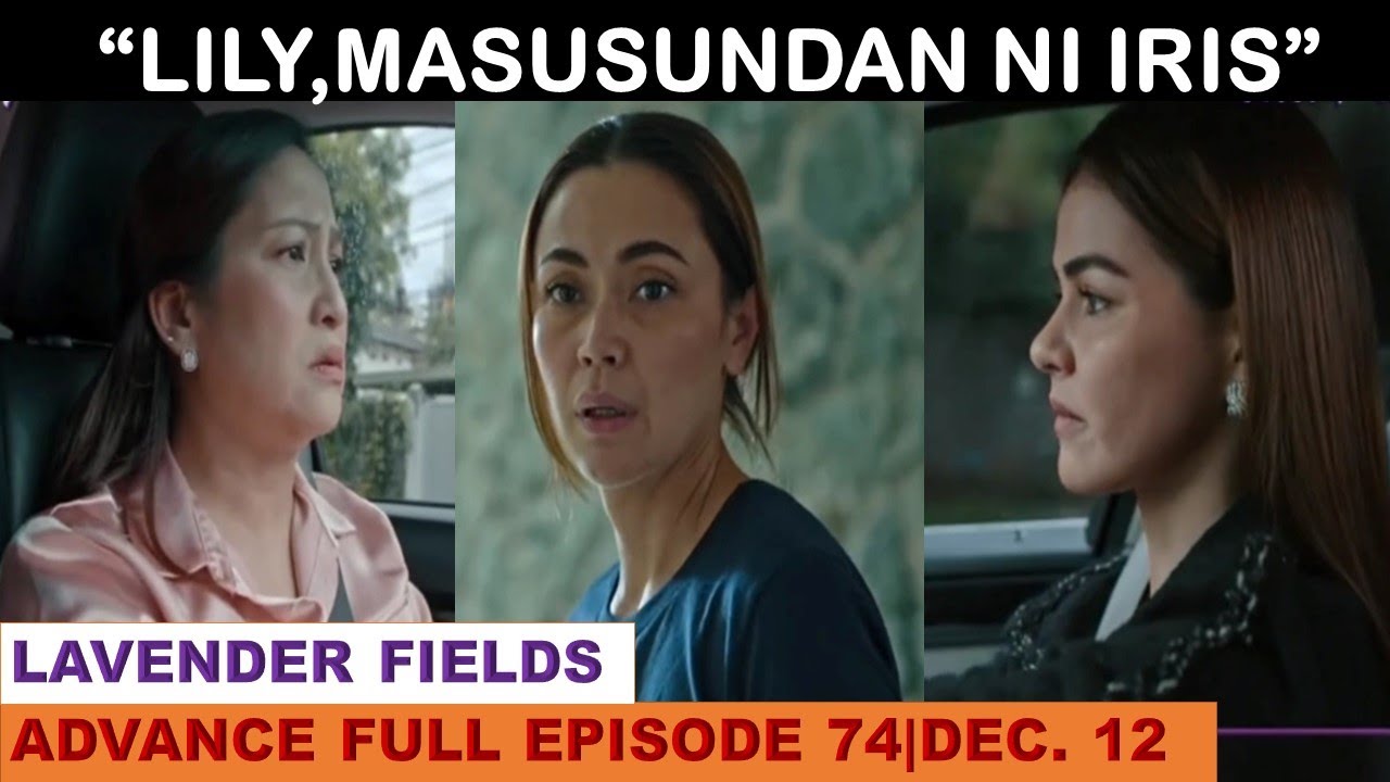 LAVENDER FIELDS|ADVANCE FULL EPISODE 74|DECEMBER 12,2024 - YouTube