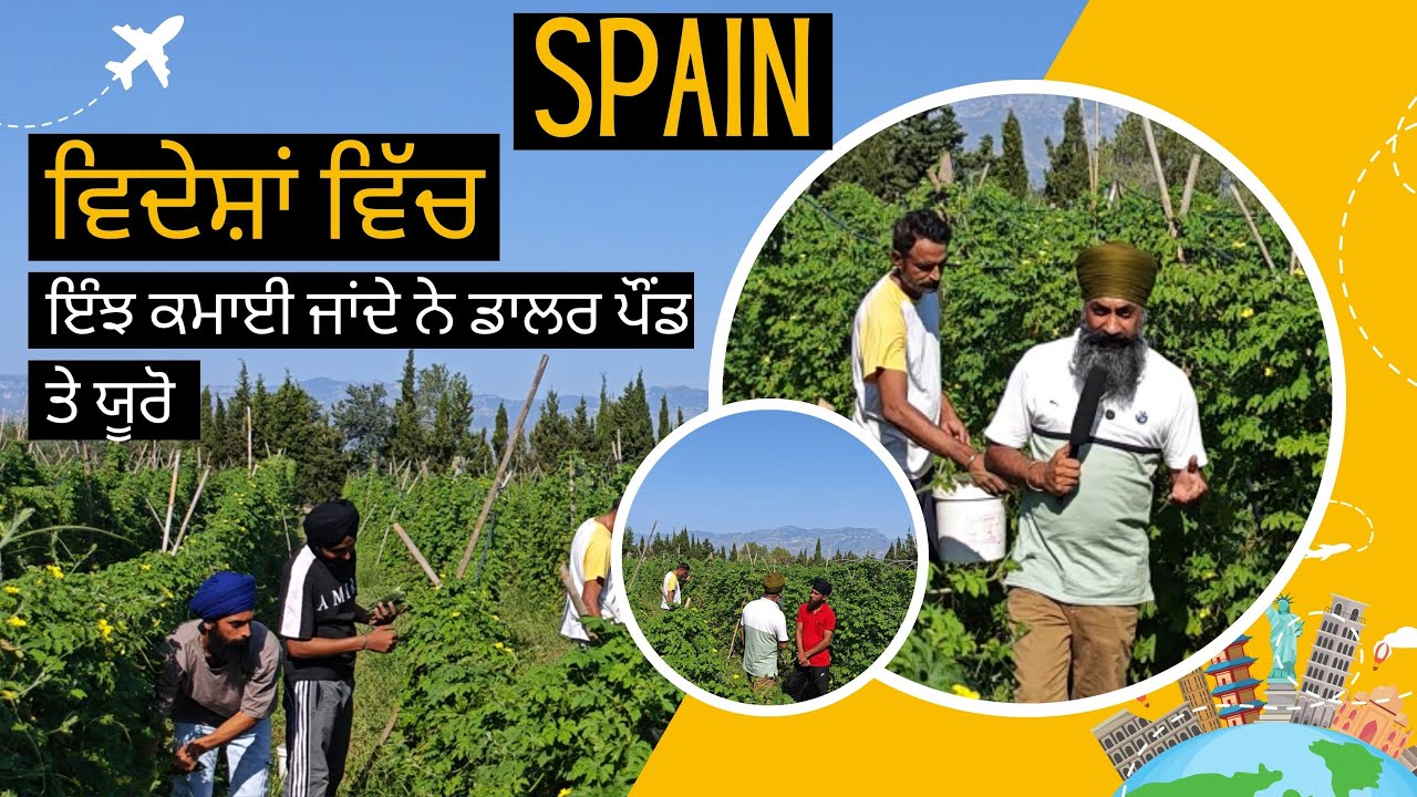 ਵਿਦੇਸ਼ਾਂ ਵਿੱਚ ਇੰਝ ਕਮਾਈ ਜਾਂਦੇ ਨੇ ਡਾਲਰ ਪੌਂਡ ਤੇ ਯੂਰੋ | Amrik Singh Spain ...