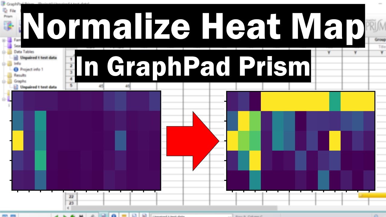 How To Normalize A Heat Map In GraphPad Prism YouTube