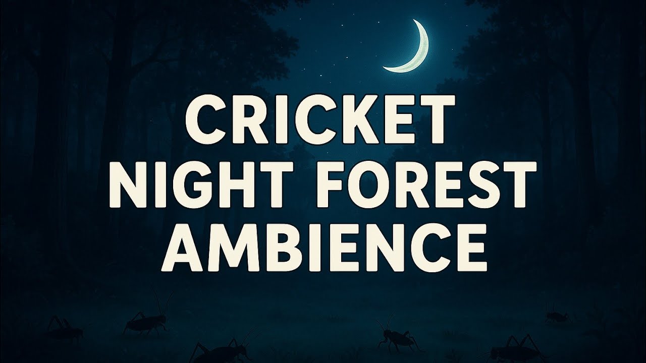 Cricket Night Forest Ambience | Deep Relaxation, Sleep Sounds & Calm ...