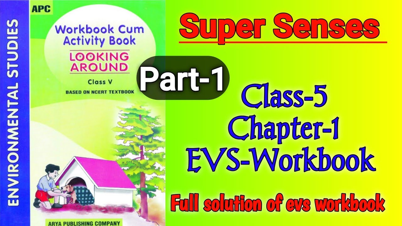 class-5-evs-super-senses-chapter-1-apc-workbook-part-1-fully-solved