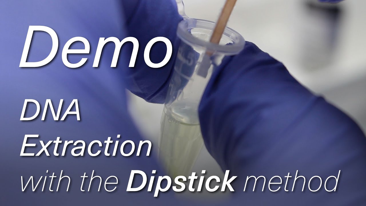 Extracting DNA in 30 Seconds using the Dipstick Method (Demo) - YouTube
