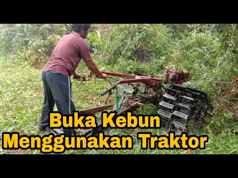 Buka kebun sawit/kelapa menggunakan traktor |cara mudah dan cepat membuka lahan untuk berkebun sawit