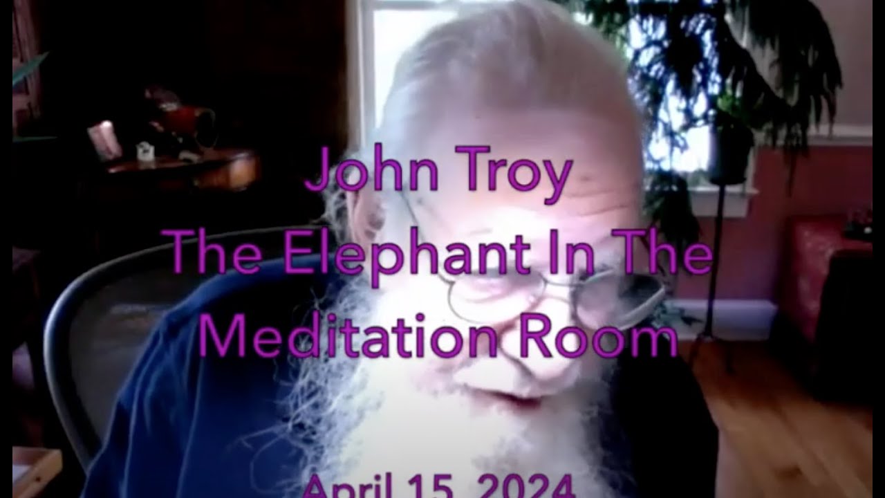 John Troy: The Elephant In The Meditation Room - YouTube