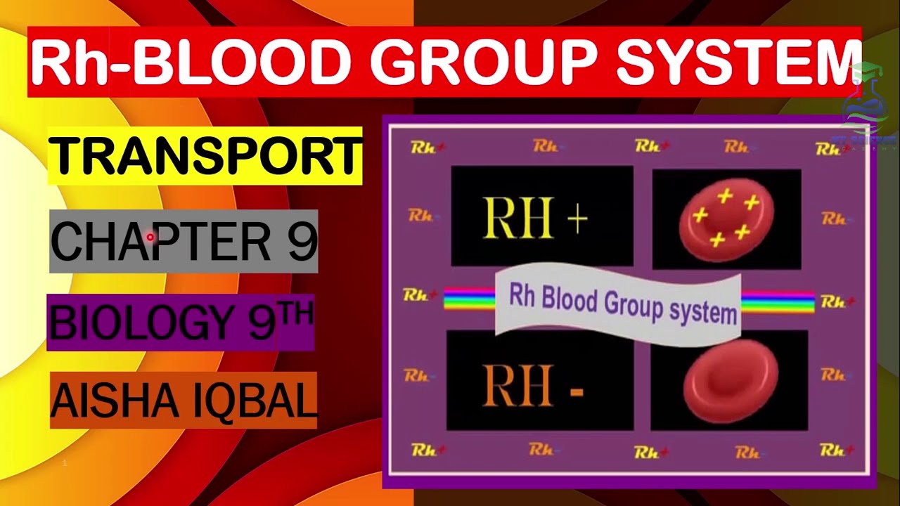 RH Blood Group System - YouTube