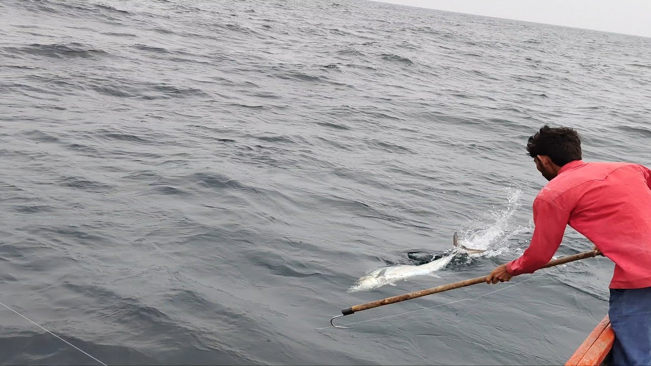 Surmai Fishing in Mangrol Bara || Fisherman Deep sea fishing - YouTube