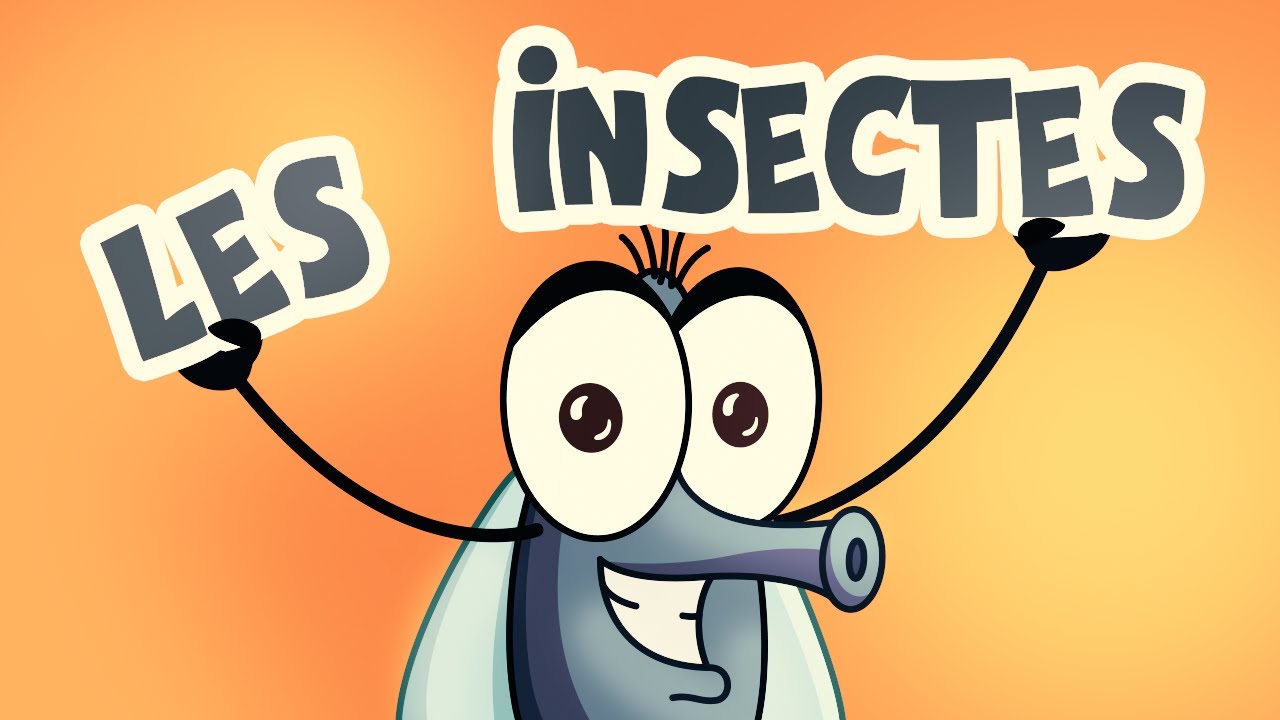 Les insectes! Dessin animé pour bébé en français! - YouTube