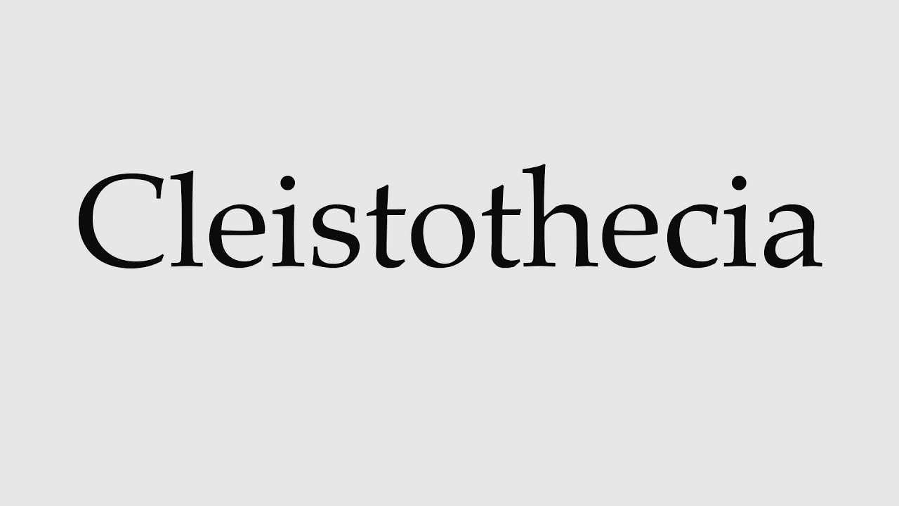 How to Pronounce Cleistothecia - YouTube