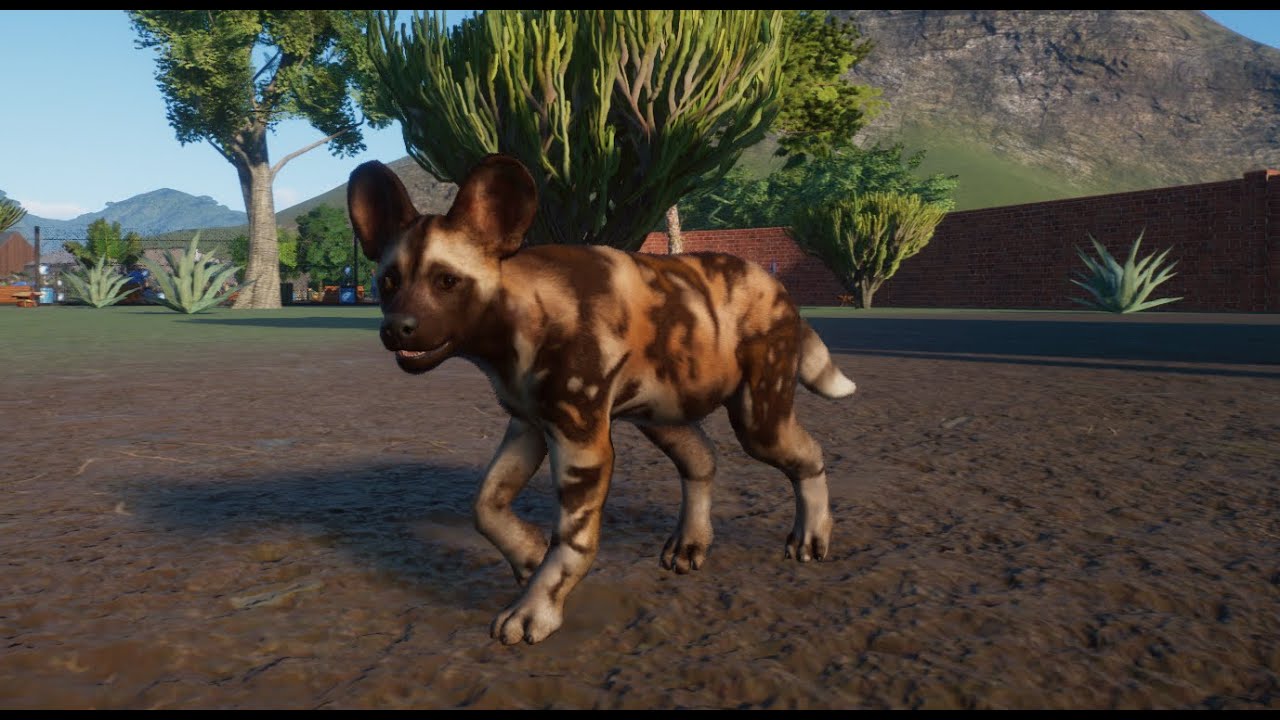 Expanding the Safari (Planet Zoo) - YouTube