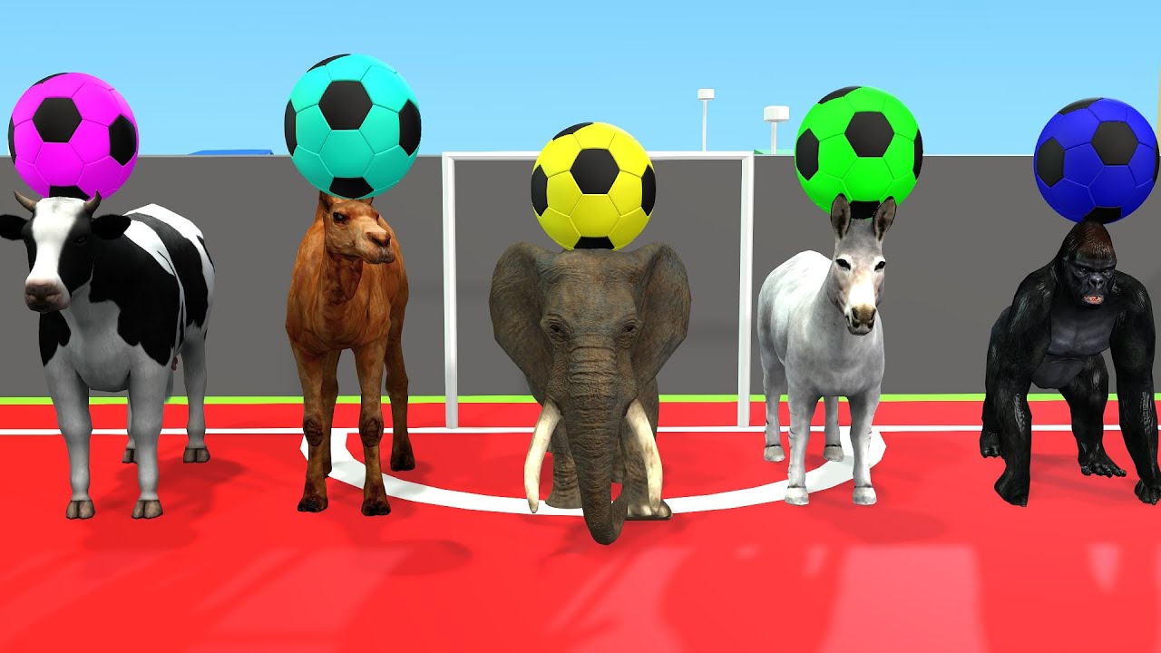 ANIMALS BOLL COLORS/GAME/CAMEL.COW.DONKEY - YouTube