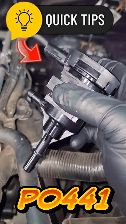 Quick tips on how to fix your Check Engine Light with P0441 - YouTube