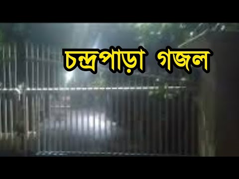 চন্দ্রপাড়ার ভূবন উজালা করা গজল | চন্দ্রপাড়া পাক দরবার শরীফ নতুন গজল ...
