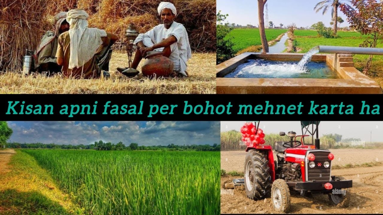 Farmers Day And Night Hard Work|A Golden Story kisan life - YouTube