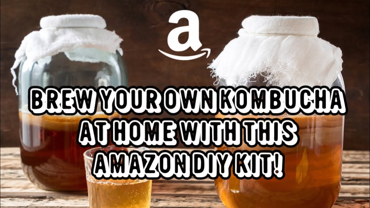 Brew your own Kombucha at home with this AMAZON DIY kit ! - YouTube