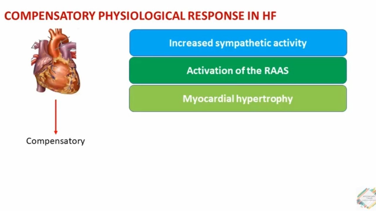 HEART FAILURE: INTRODUCTION - YouTube