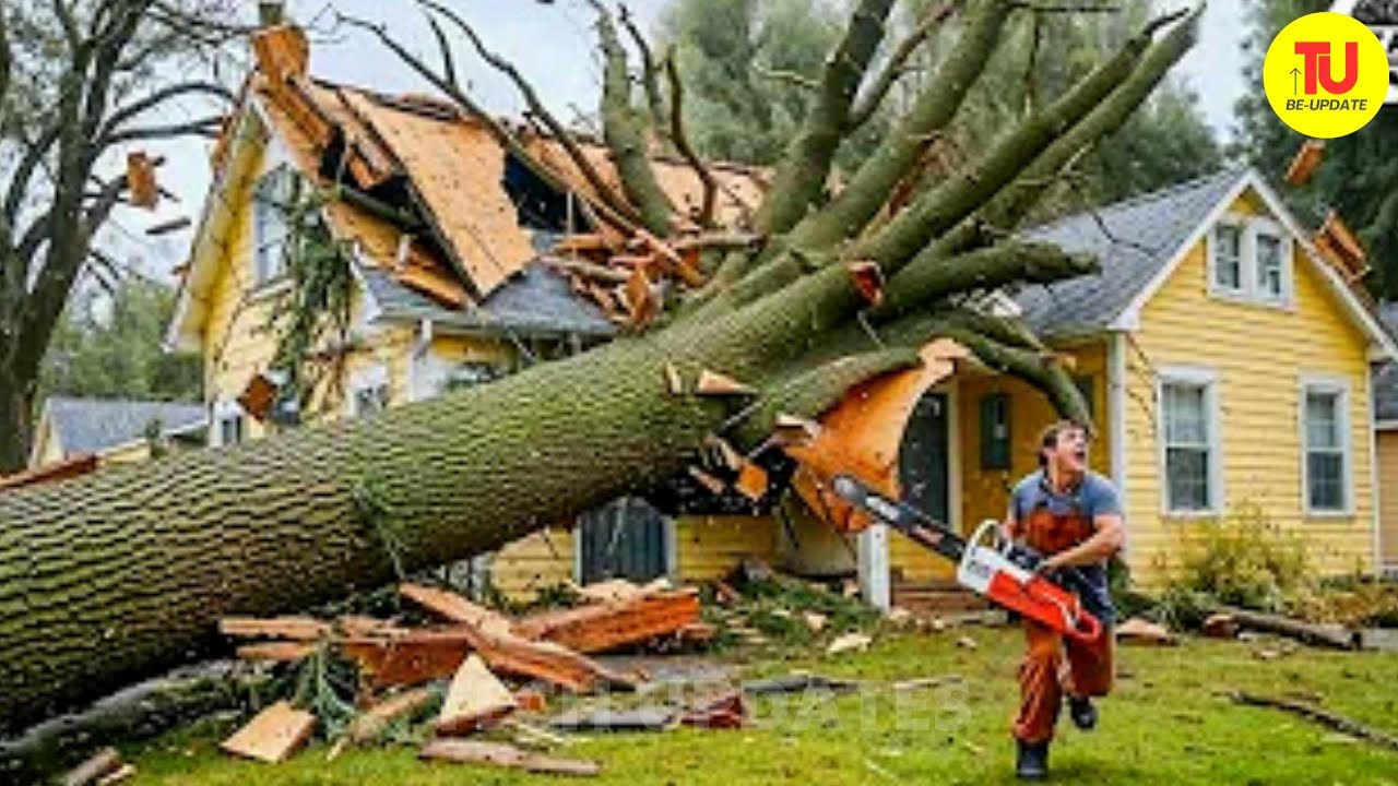 Extreme Dangerous Fastest Big Chainsaw Cutting Tree Machines & Monster ...