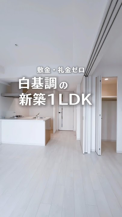 【No.310】真っ白基調な1LDK #不動産 #白基調 #新築マンション - YouTube