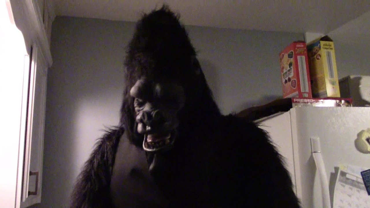 Weregorilla Transformation 3 @thorgorilla