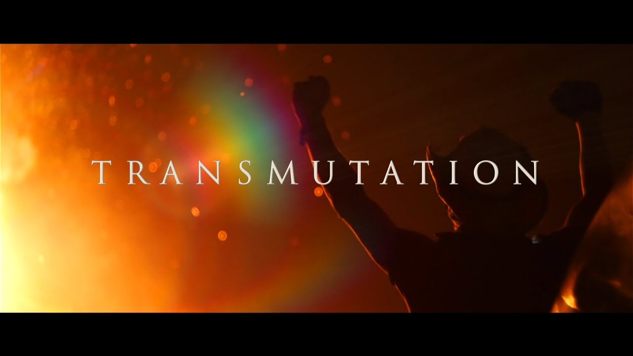 Transmutation (Feature Documentary Film Excerpt - The Brevity of Life ...
