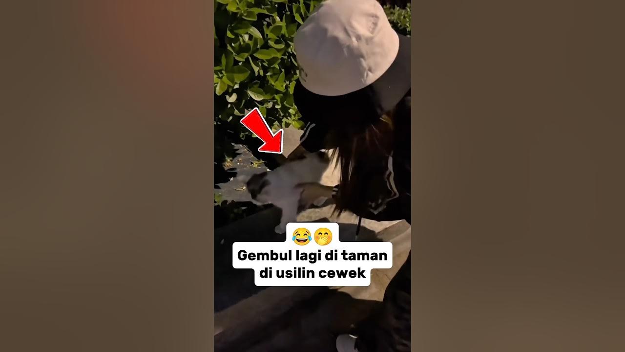 Reaksi gembul saat di usilin cewek😂🤭#feedshorts #kucinglucu #funnyshorts - YouTube