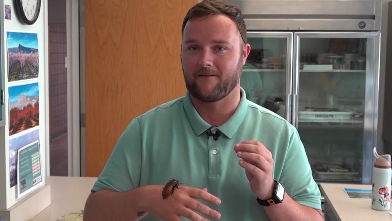 Jeff Hinkle Anchor/Reporter Reel - YouTube