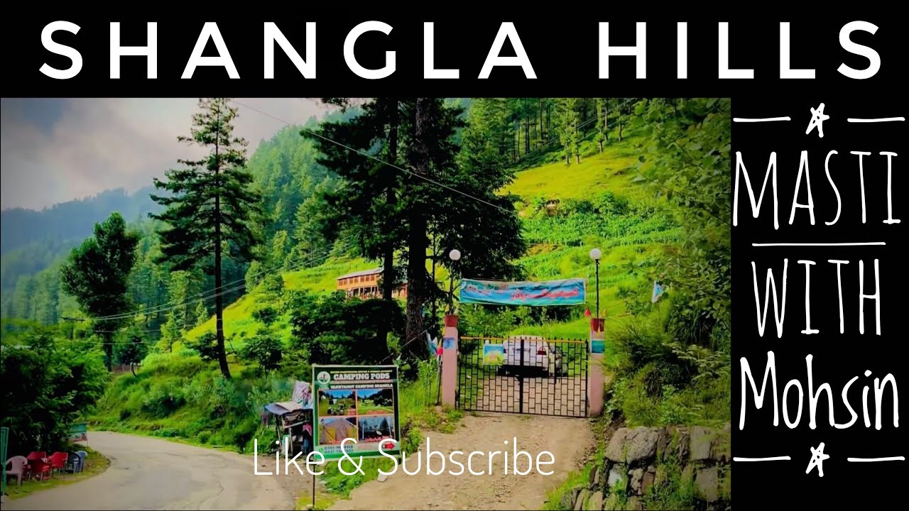 Shangla Top 🔥|dailyvlogs#viral - YouTube