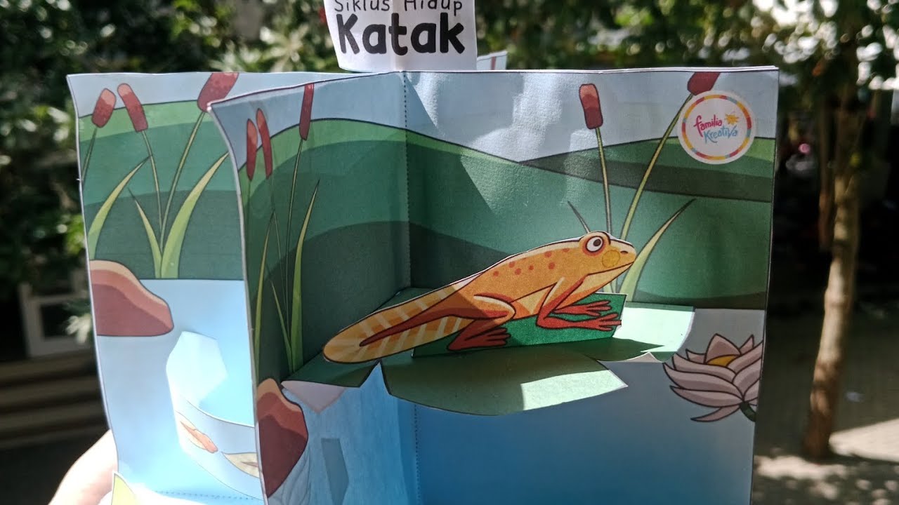 DAUR HIDUP KATAK - YouTube