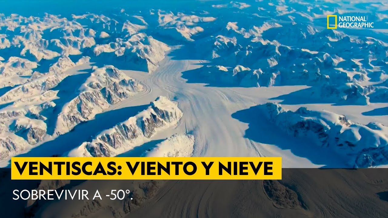 Ventiscas, combinación letal de viento y nieve | Desastres Mortales ...