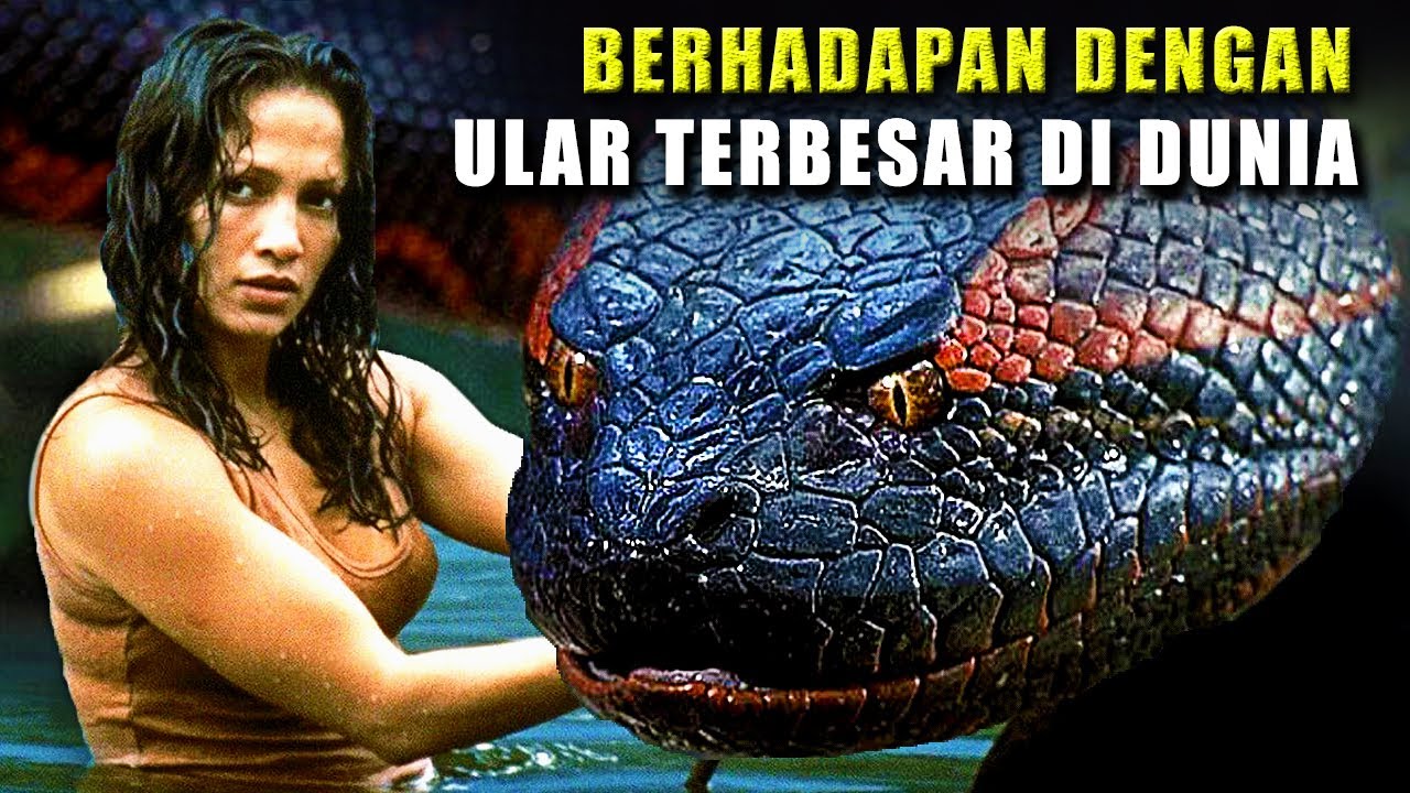 ULAR TERBESAR DI DUNIA ADA DI KALIMANTAN! RANGKUM FILM ANACONDAS 2004 ...