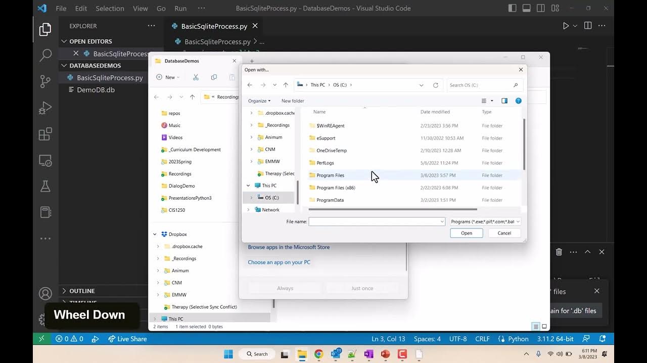 How to Make a Basic SQLite3 App - YouTube