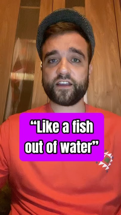 English idioms: Like a fish out of water #englishteacher #englishidiom ...