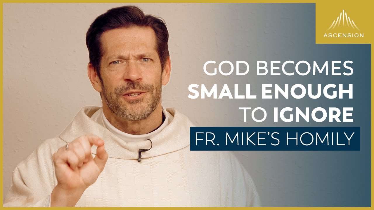 "Small Enough to Ignore" + The Nativity of the Lord (Fr. Mike's Homily ...