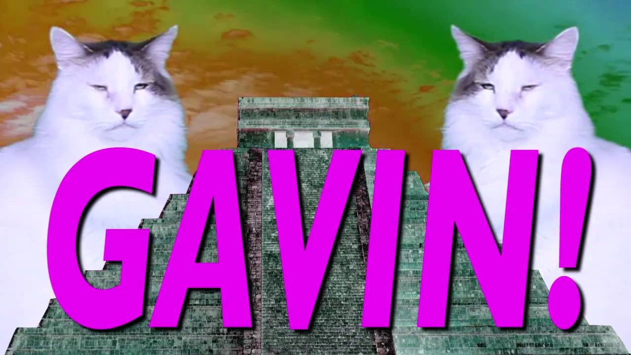 ¡FELIZ CUMPLEAÑOS GAVIN! Canción Comica de Cumpleaños - YouTube