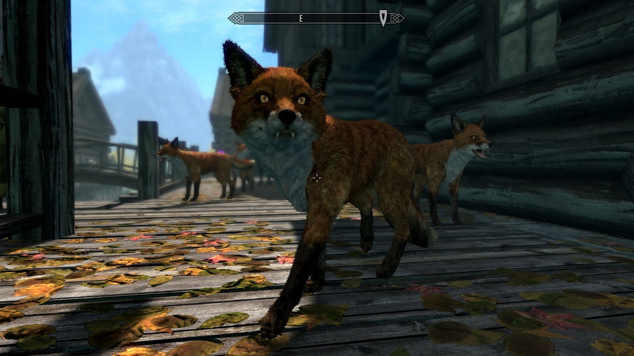 SKYRİM SE Realistic foxes mod - YouTube