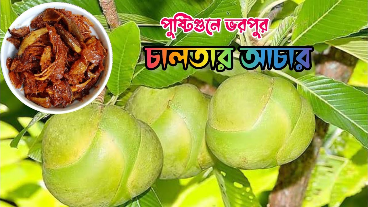 পুষ্টিগুণে ভরপুর চালতার আচার || Elephant Apple's Pickel - YouTube
