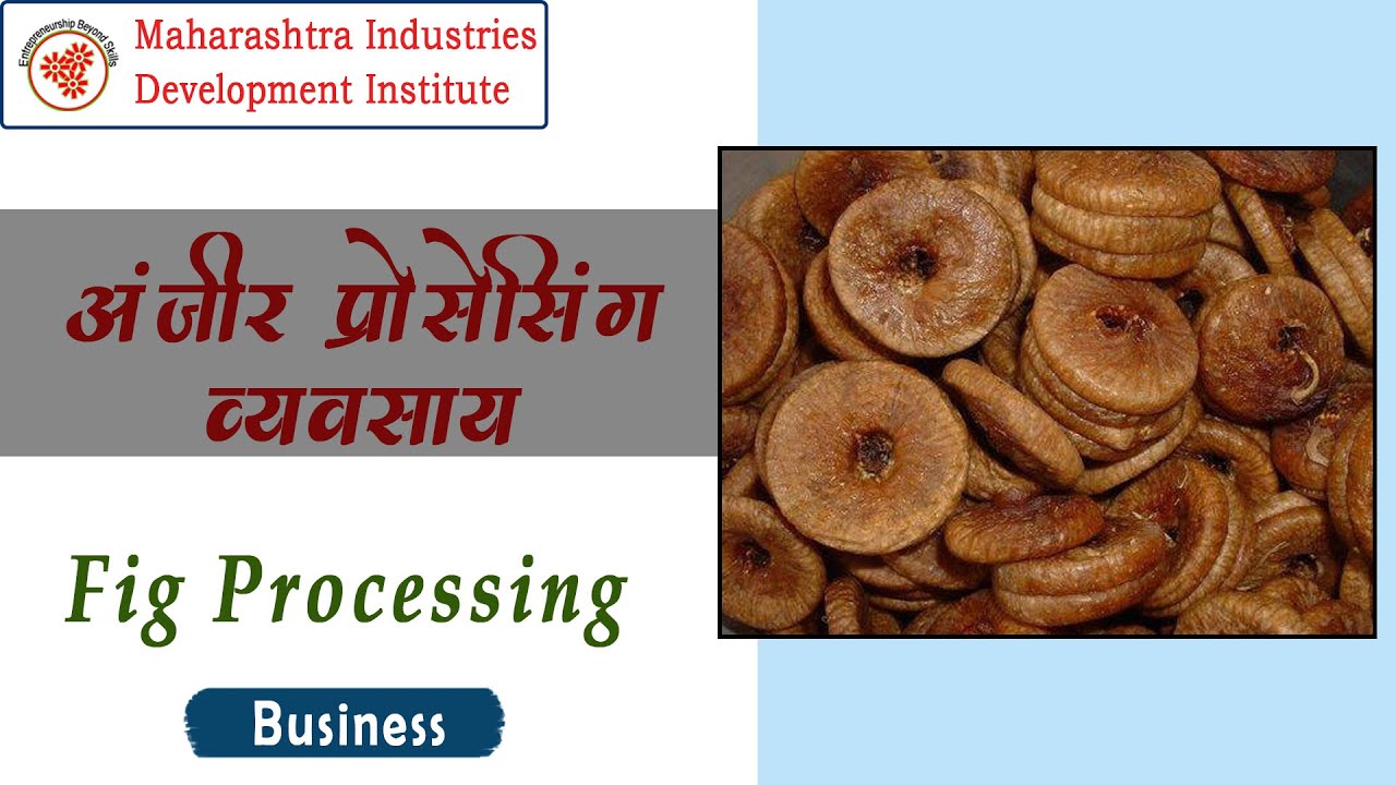 अंजीर प्रोसेसिंग व्यवसाय || Figs Processing Business - YouTube