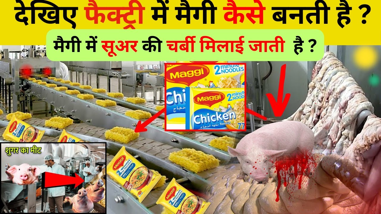 देखिए फैक्ट्री में Maggi कैसे बनती है ? | Maggi Making Process |Maggi ...