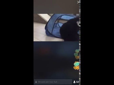 Periscope Cassidy time 4 3 2016