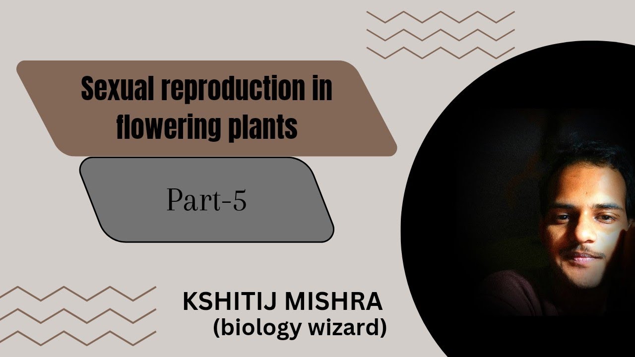 agents of pollination । sexual reproduction in flowering plants । class ...