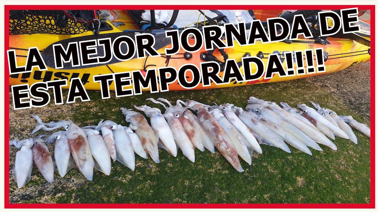 🦑🦑PESCA de CALAMAR 2023 |PESCO Muchos CALAMARES🦑🦑 - YouTube