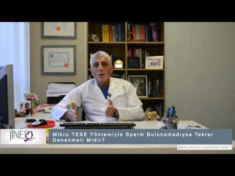 Mikro TESE Yöntemiyle Sperm Bulunamadıysa Tekrar Denenmeli Midir?