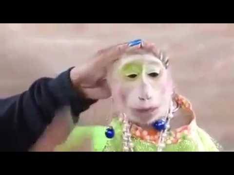 Budak cum....