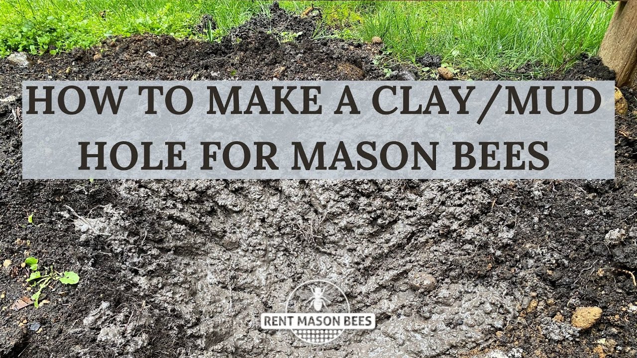 Mason Bee Video Library - Rent Mason Bees